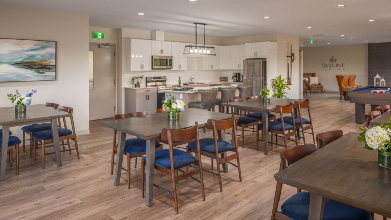 The SkyDev Difference - SkyDev